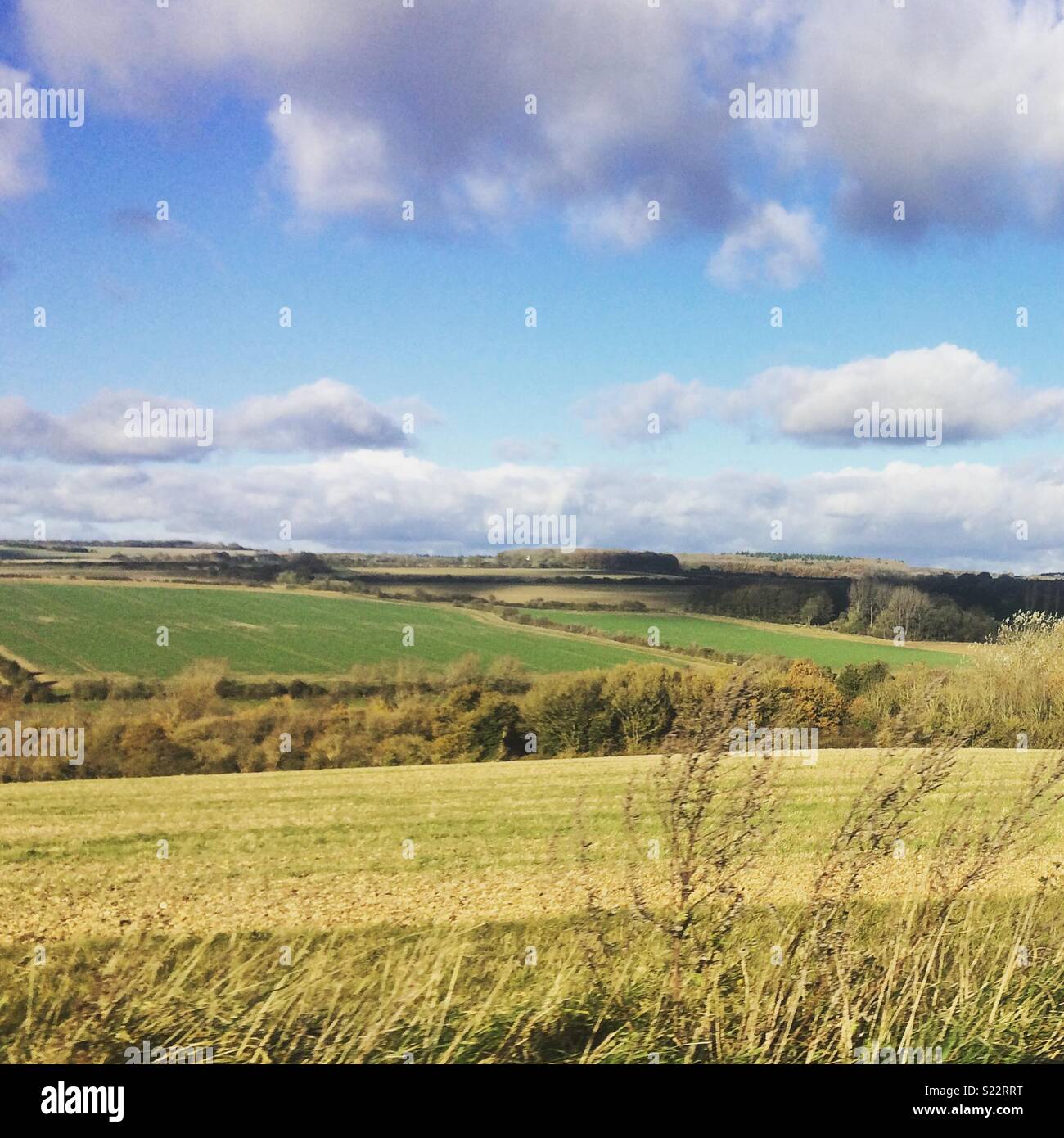 Fields of green and yellow hi-res stock photography and images - Alamy