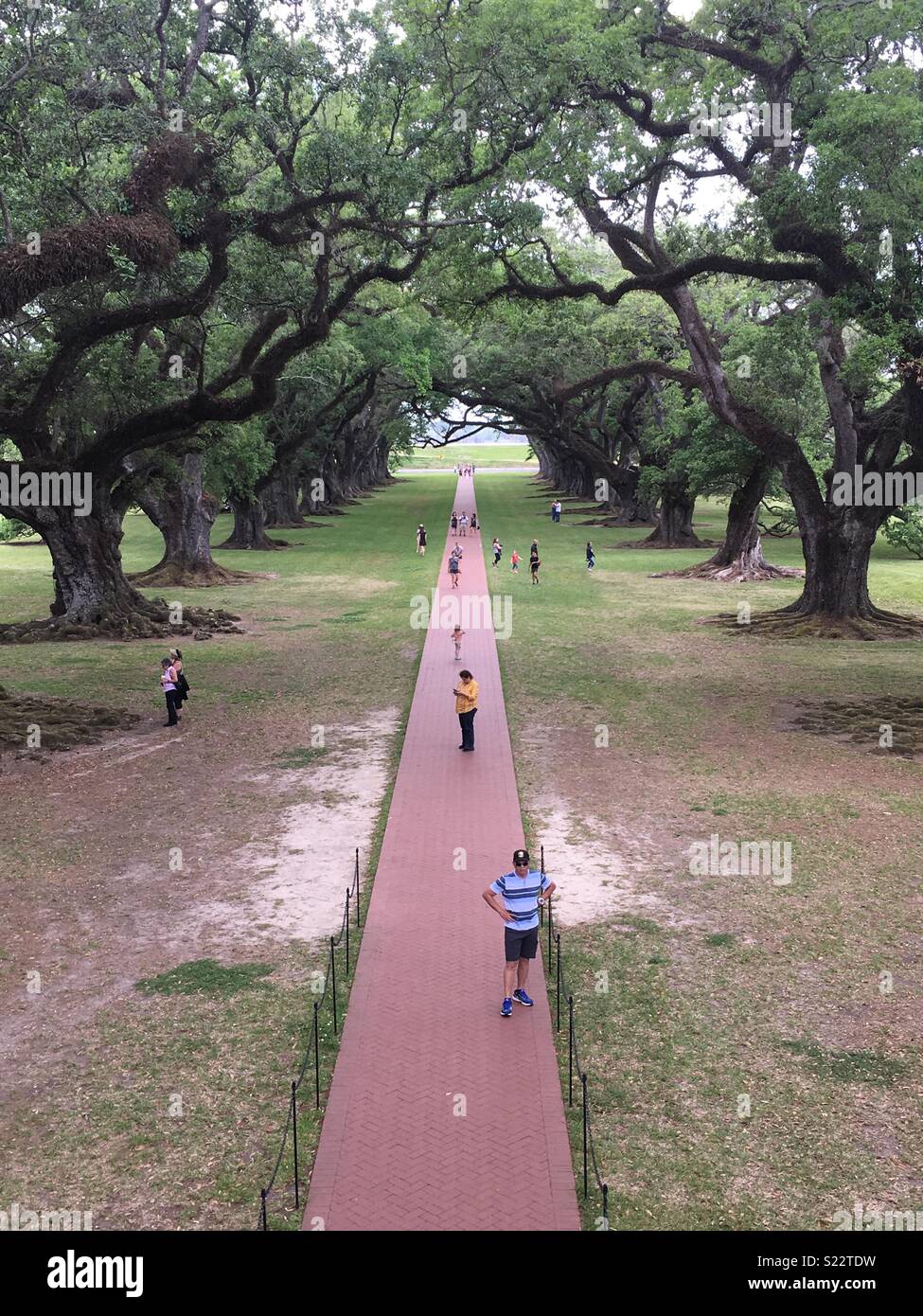 Louisiana plantation with oak trees hi-res stock photography and images ...