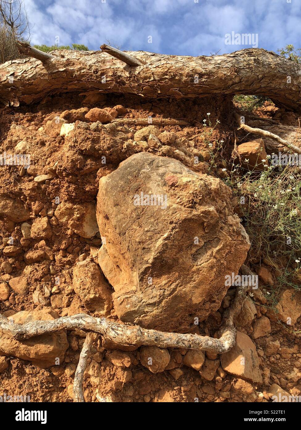 Stone and red earth with roots and sky Stock Photo - Alamy