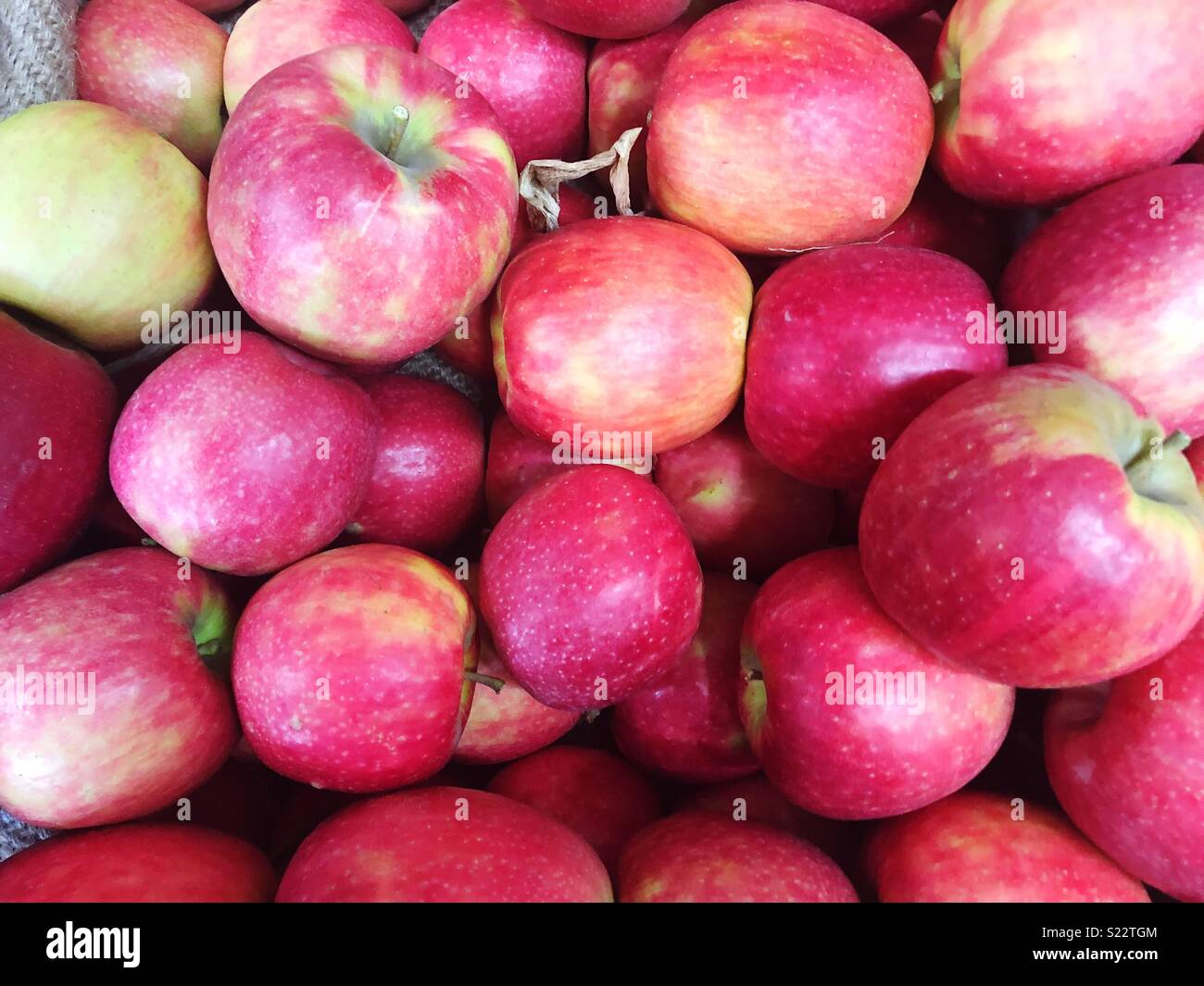 Frame fuji hi-res stock photography and images - Alamy