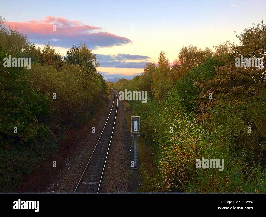 Tree lined railway hi-res stock photography and images - Alamy
