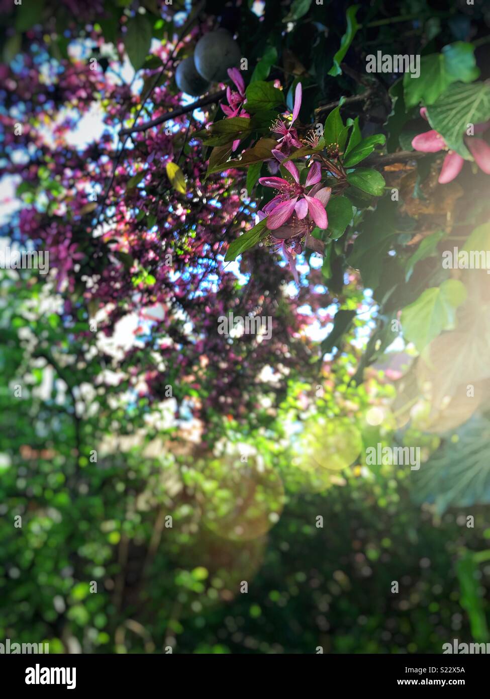 An early sun hi-res stock photography and images - Alamy