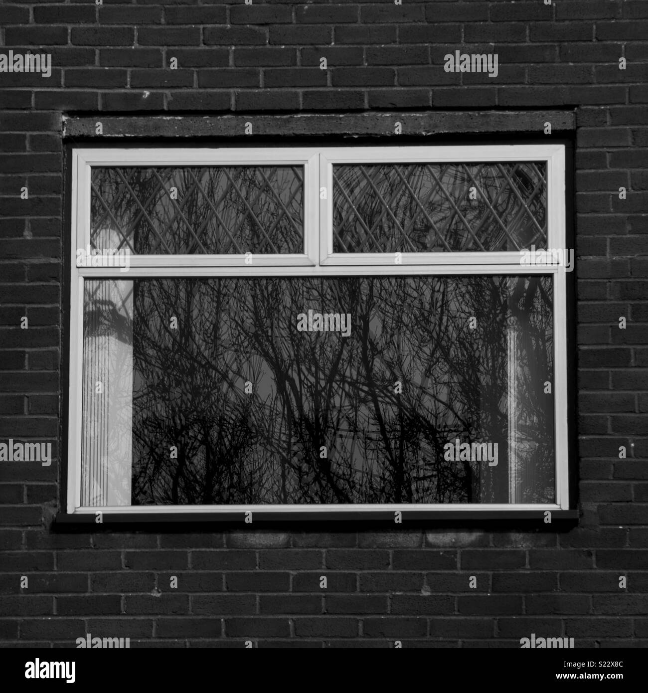 Man made objects in nature hi-res stock photography and images - Alamy