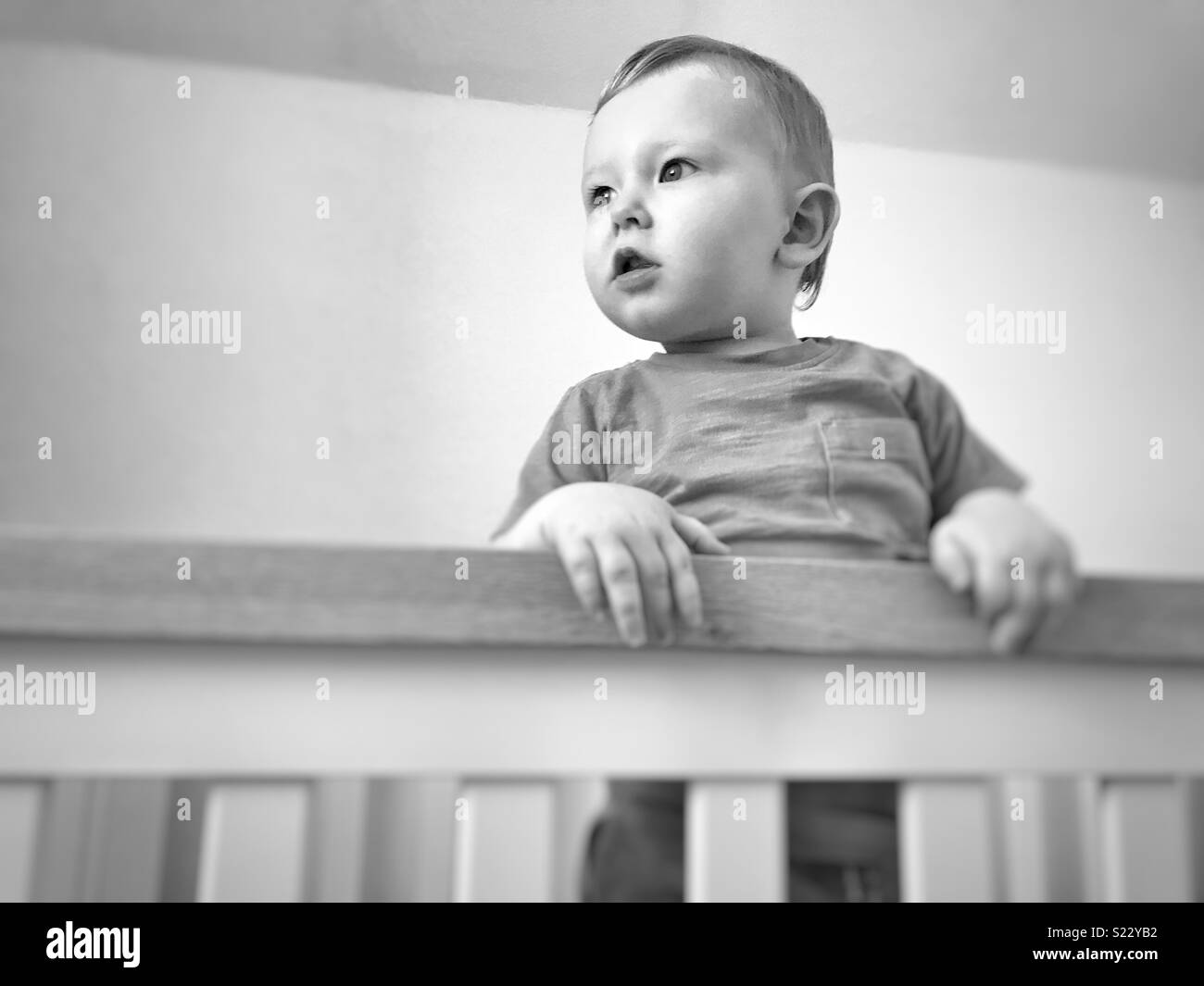 Baby Standing In Cot Stock Photo Alamy baby-standing-in-cot-stock-photo-alamy