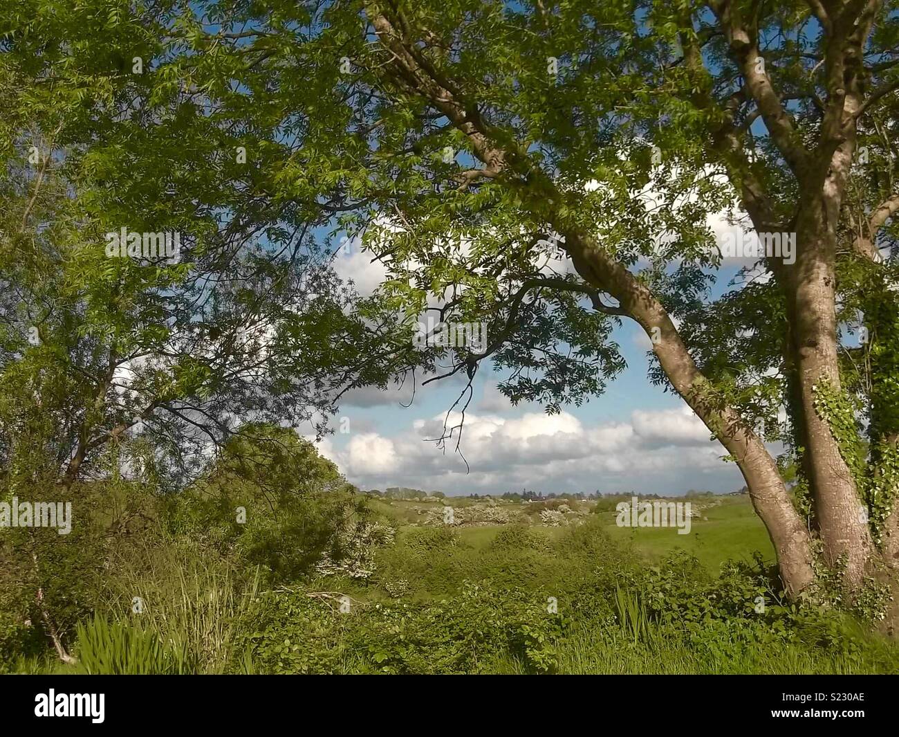 Rural view of Irish fields Stock Photo - Alamy