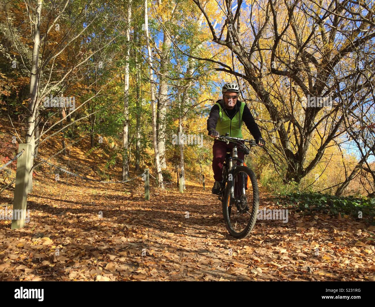 Autumn bike ride Stock Photo - Alamy