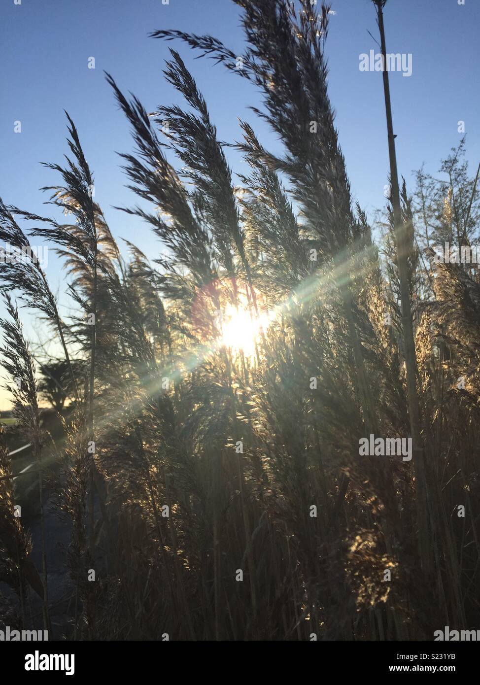 Breeze walk hi-res stock photography and images - Alamy