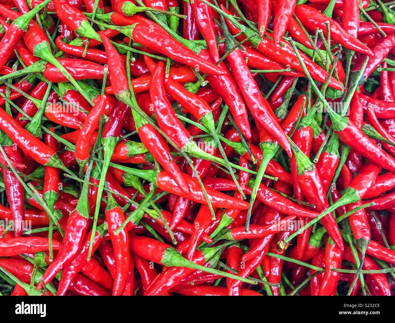 Bird eye chilli hi-res stock photography and images - Alamy