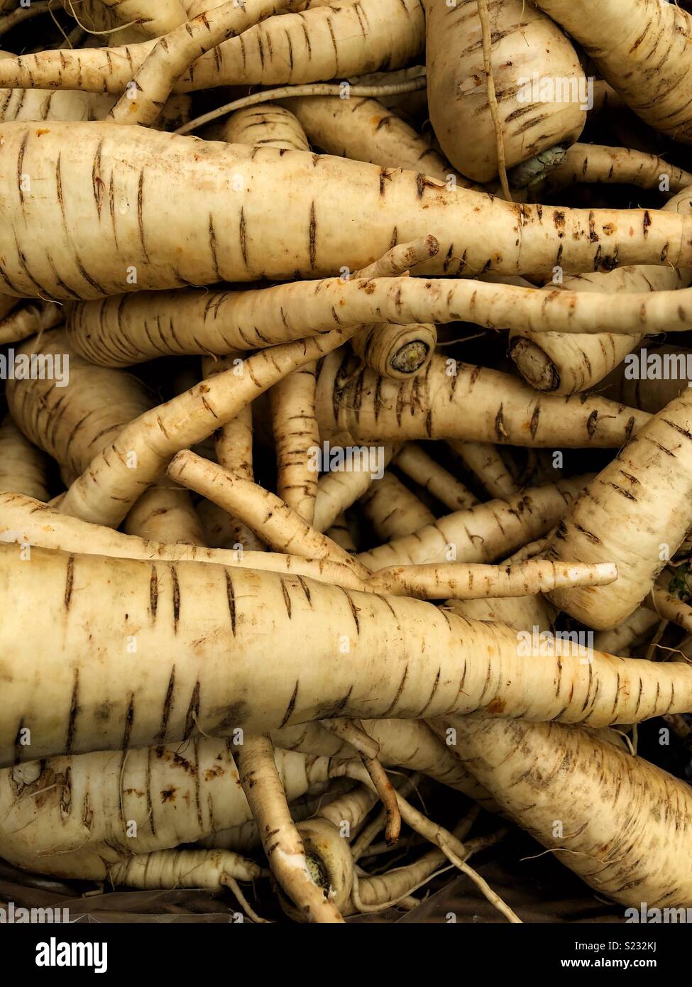 Parsnips on display at the Berkeley Farmers Market in Berkeley ...