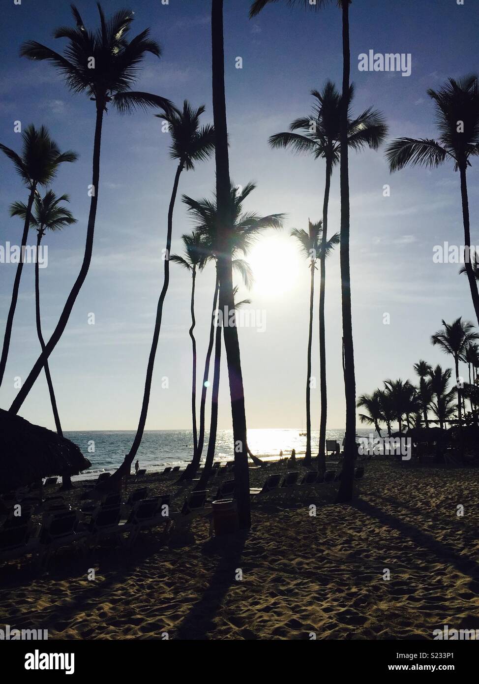 Sunset on the beach Dominican Republic Stock Photo - Alamy