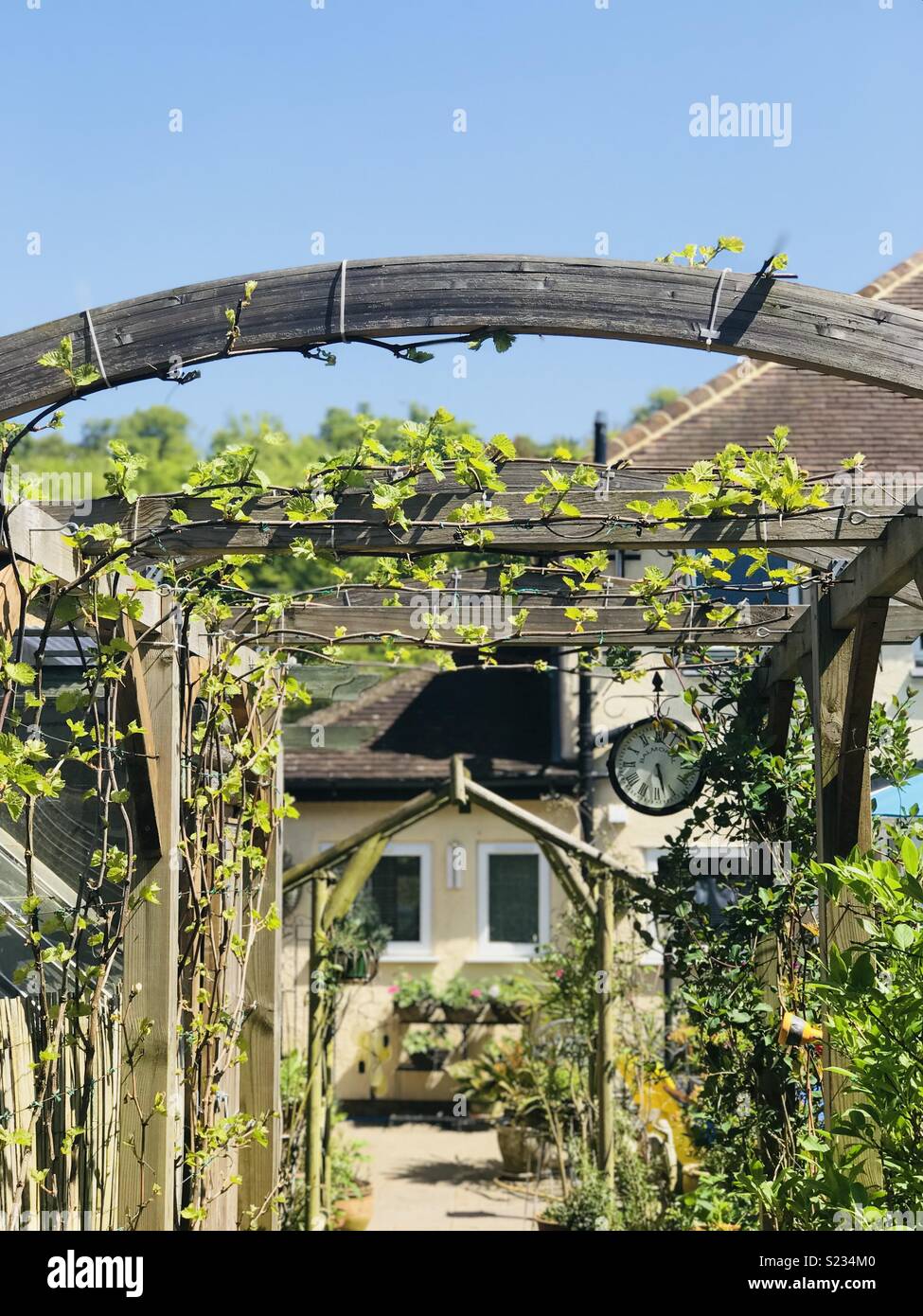 Grapevine pergola hi-res stock photography and images - Alamy
