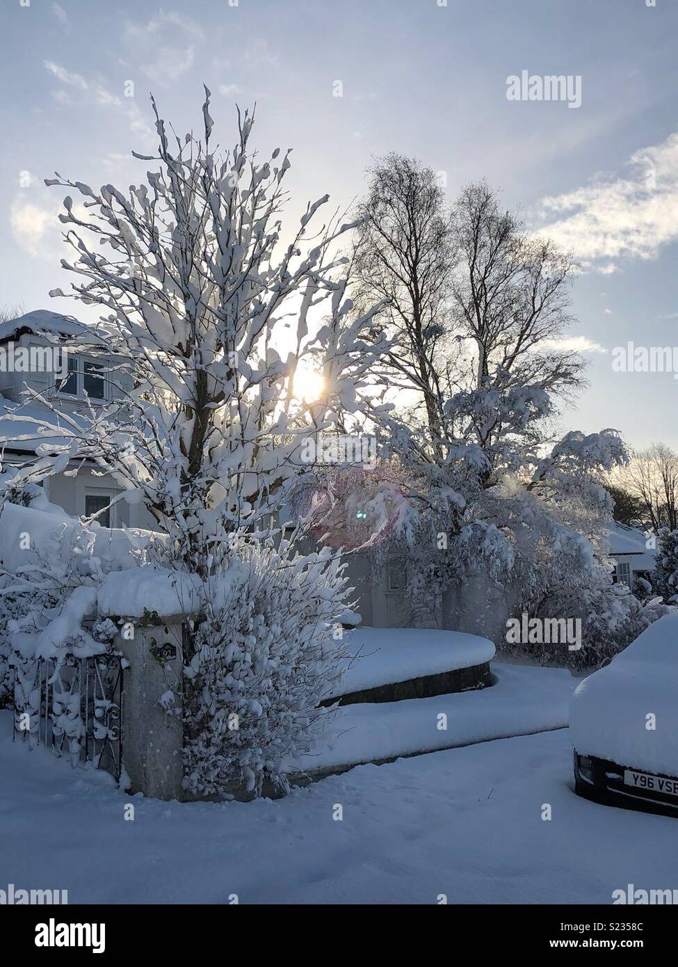 Frozen garden in the sun Stock Photo - Alamy