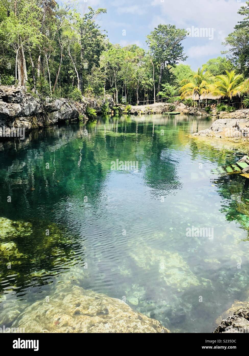 Mexico cenote hi-res stock photography and images - Alamy