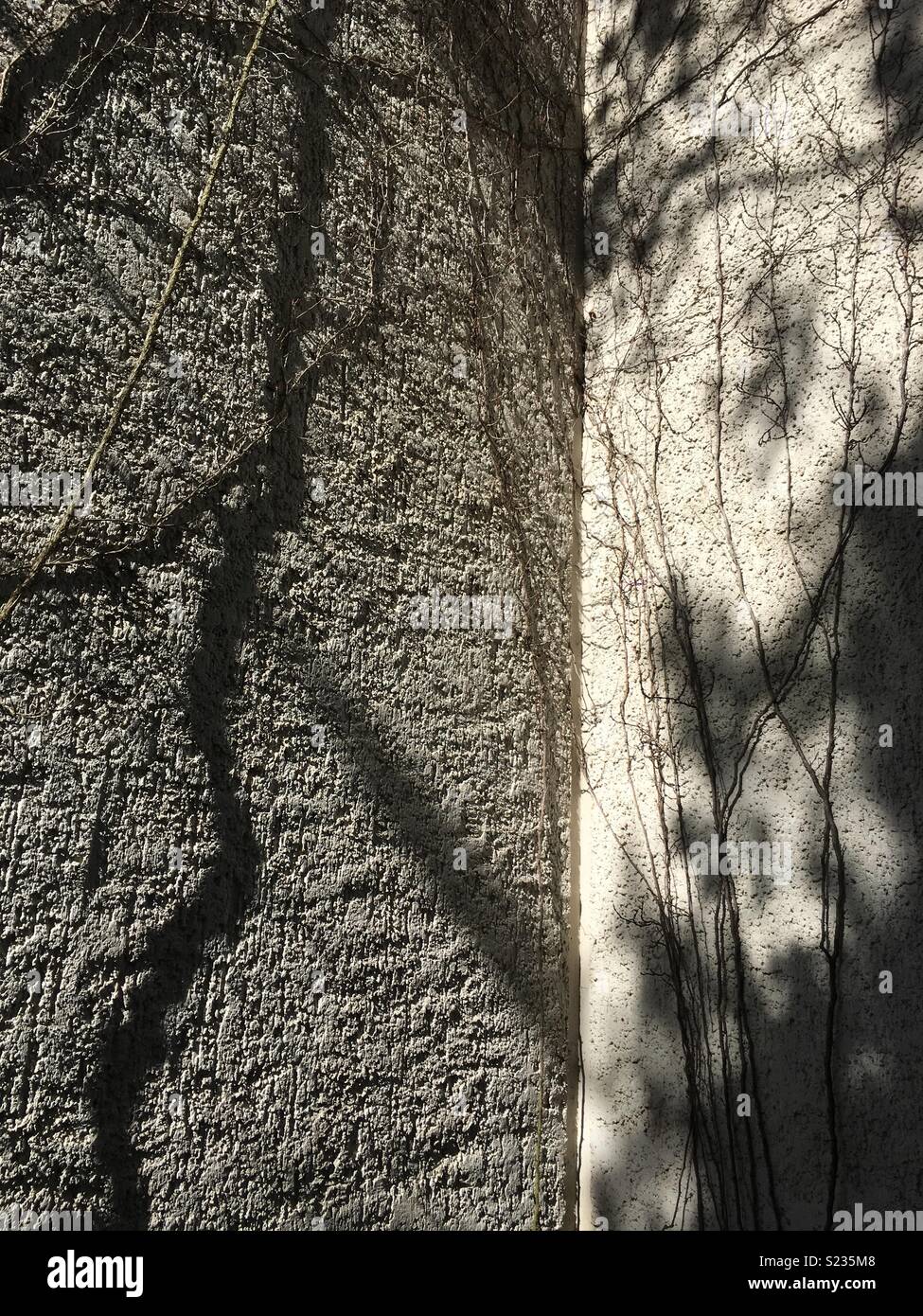 Dry wall plants hi-res stock photography and images - Alamy