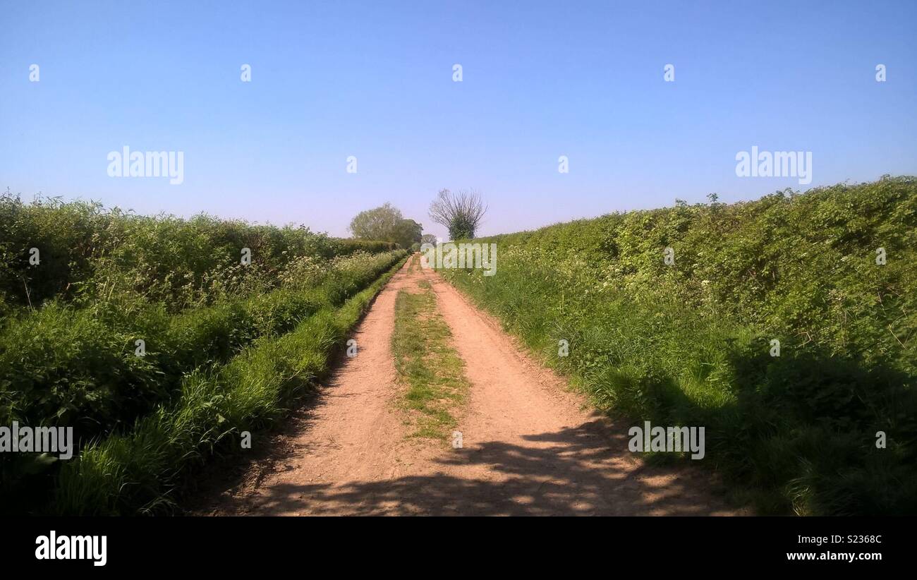 Country track in Cotswolds Stock Photo - Alamy