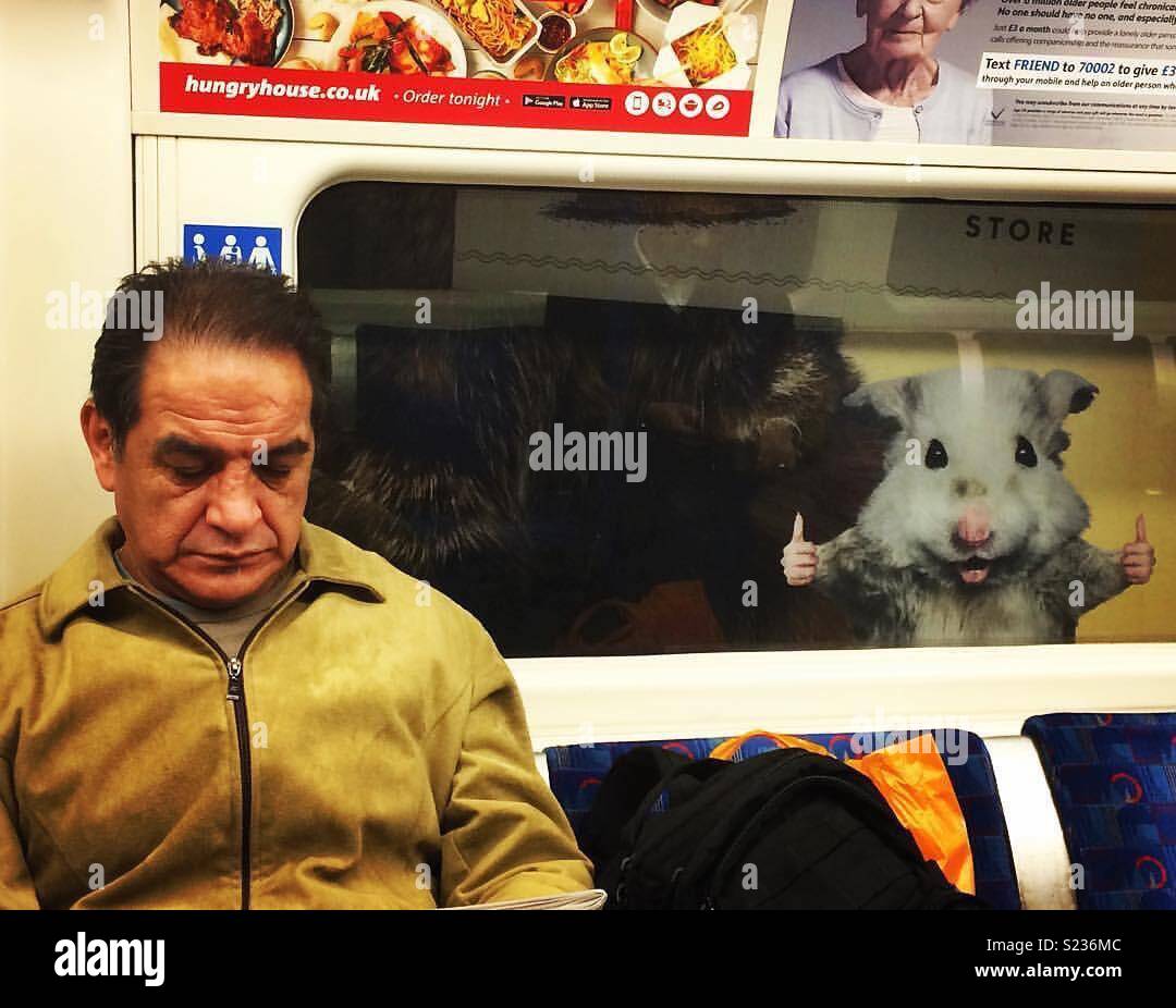 Mouse underground london tube hi-res stock photography and images - Alamy