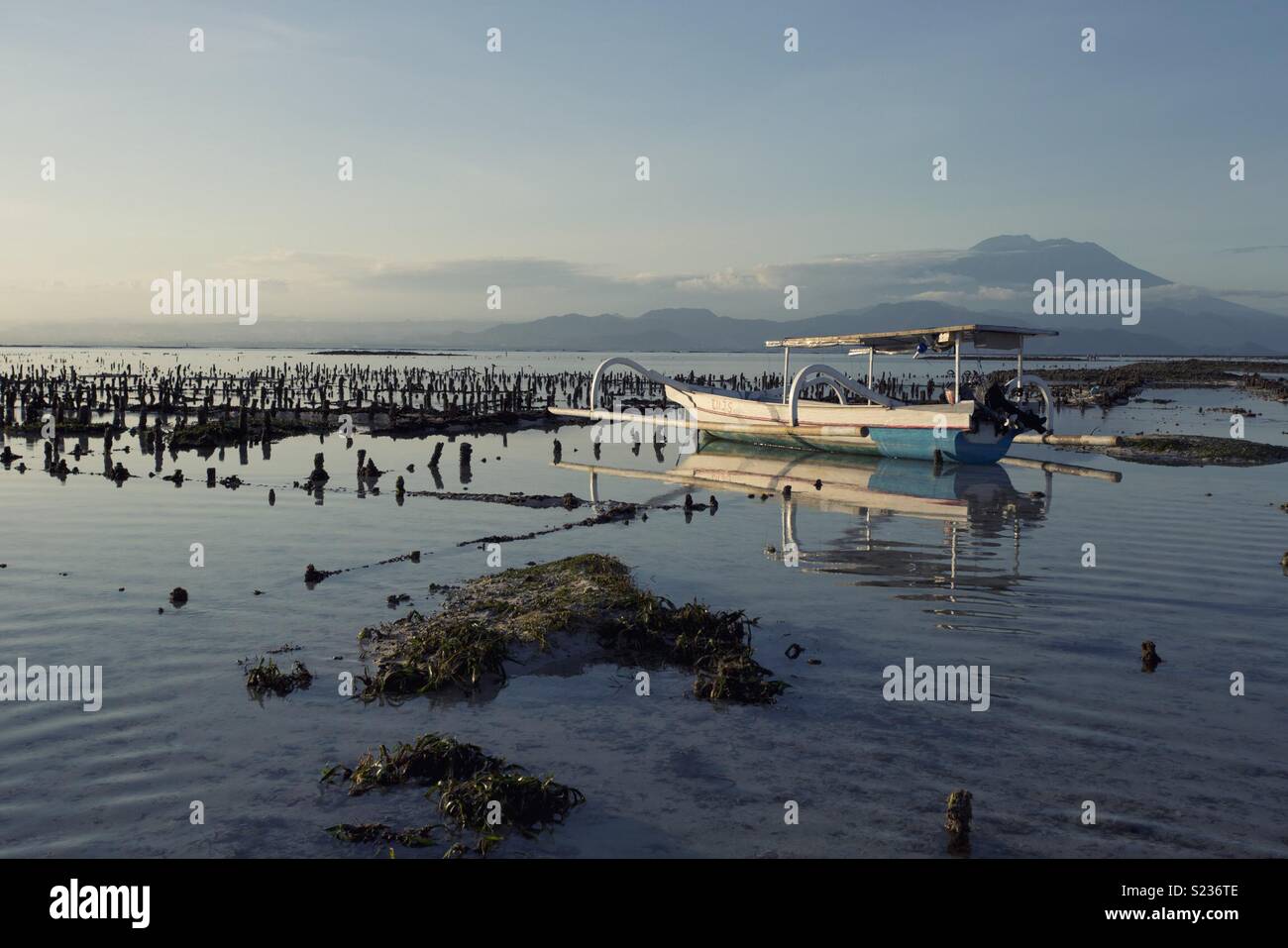 Boat with seaweed hi-res stock photography and images - Alamy