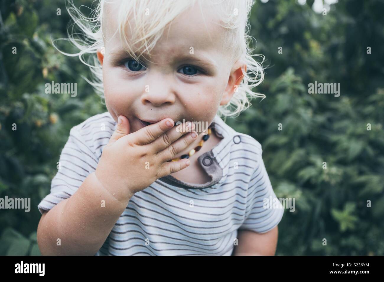 Poland raspberry hi-res stock photography and images - Alamy