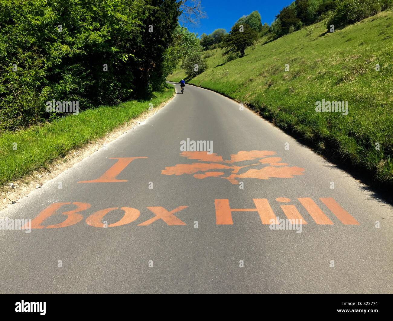 Box tree box hill hi-res stock photography and images - Alamy