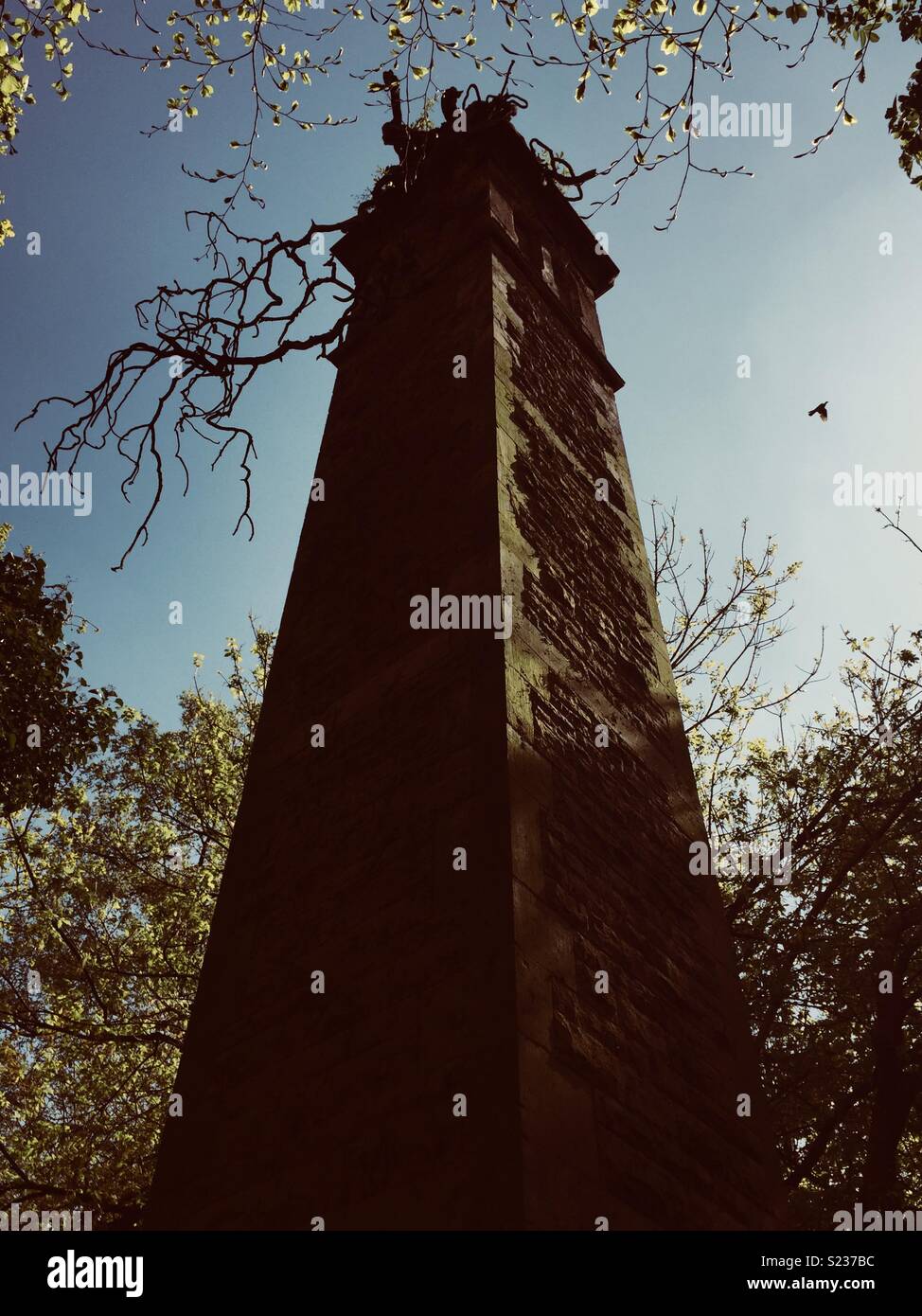 Spooky tower with branch Stock Photo - Alamy