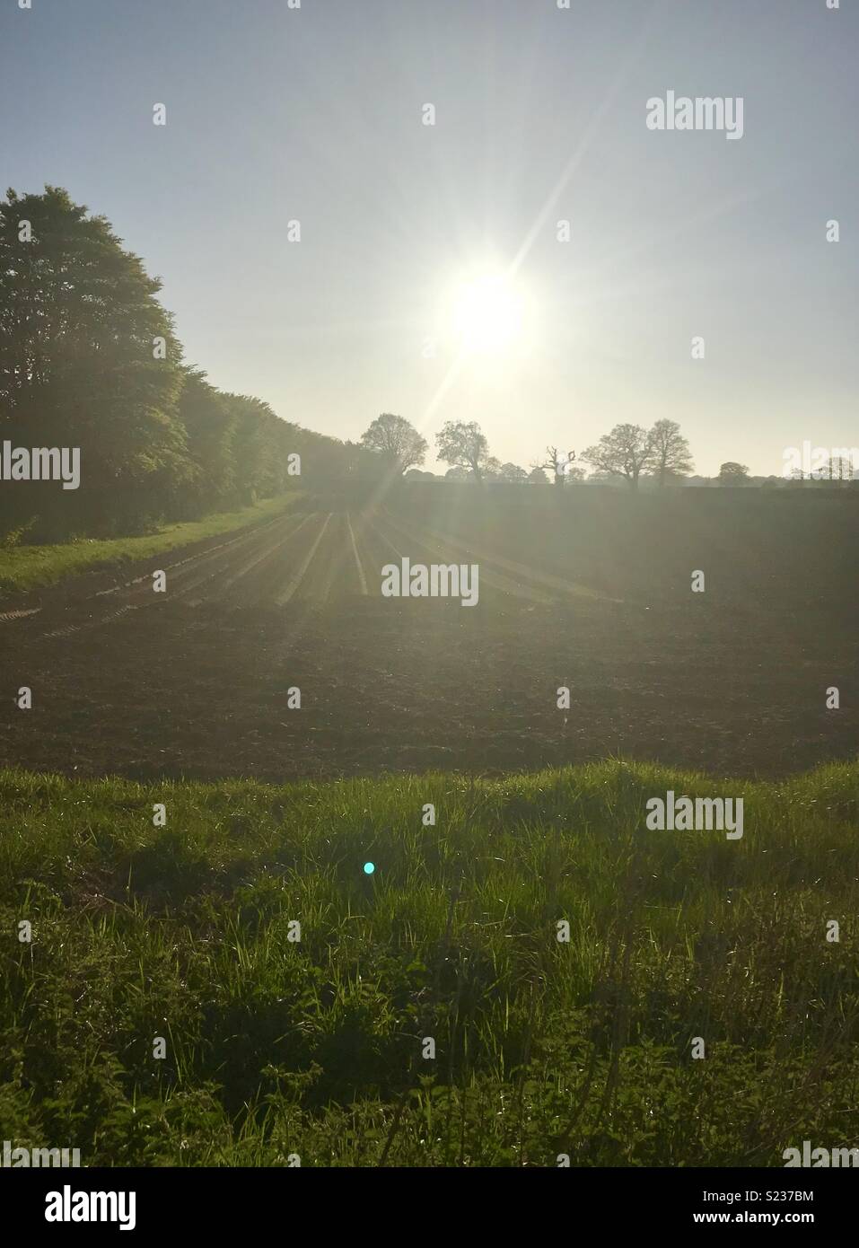 Spring evening walk hi-res stock photography and images - Alamy