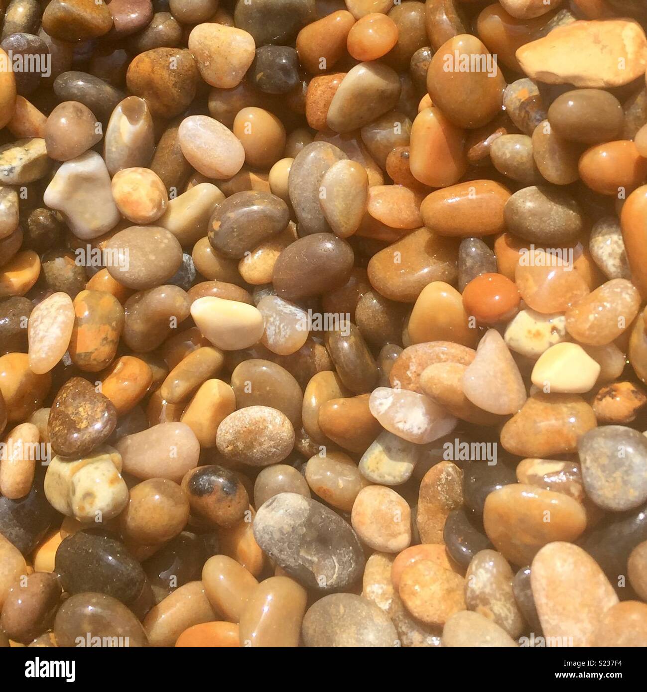 Wet beach pebbles hi-res stock photography and images - Alamy