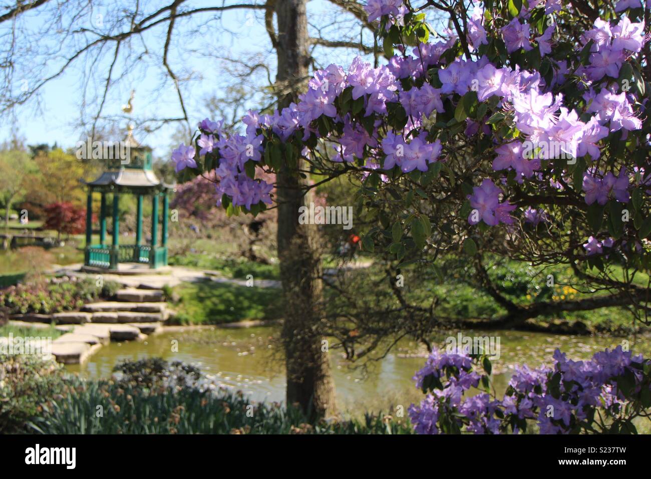 Cliveden house hi-res stock photography and images - Alamy
