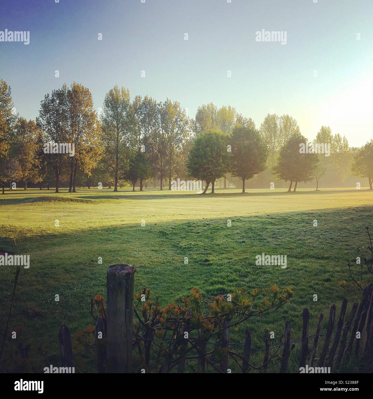 A walk in nature Stock Photo - Alamy