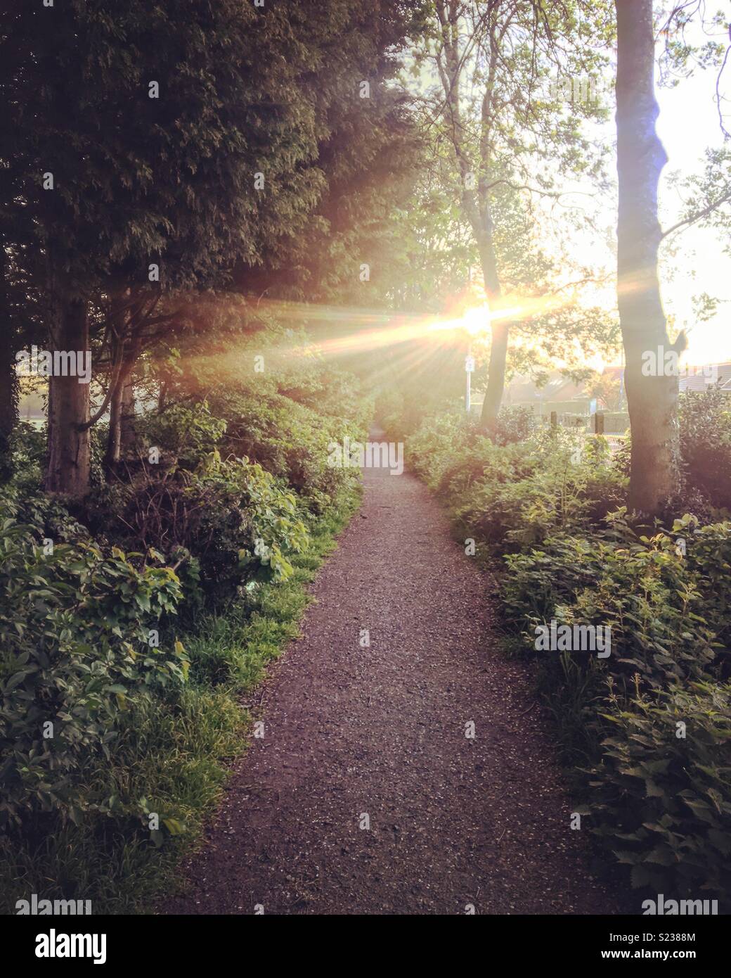 Sunshine creeping through Stock Photo - Alamy