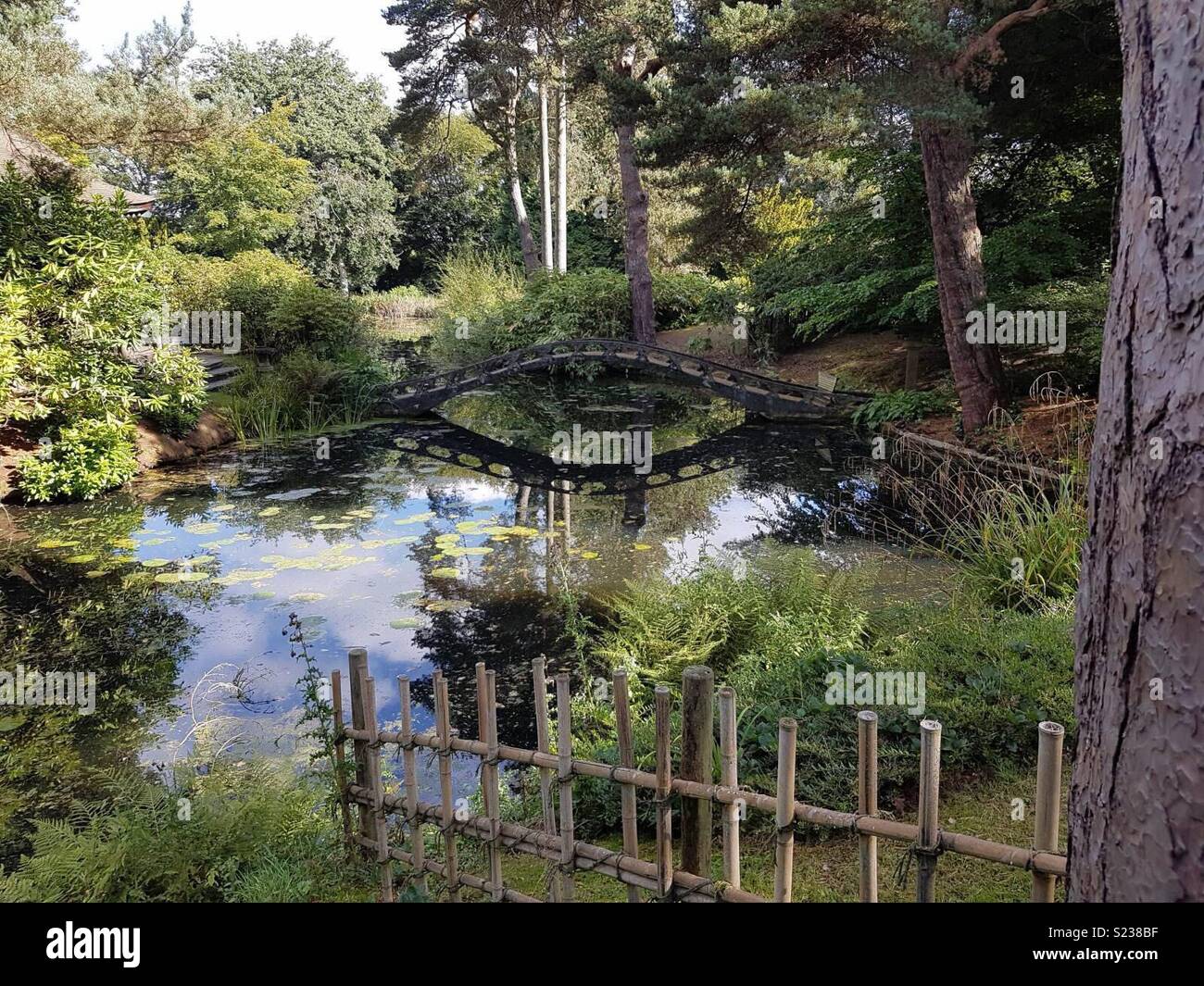 Tatton park japanese garden hi-res stock photography and images - Alamy