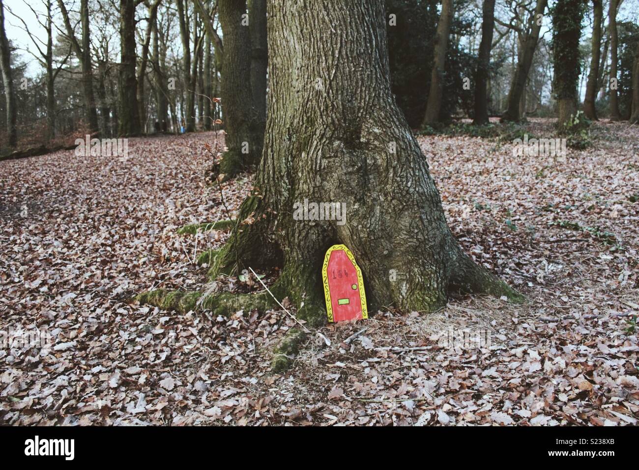 Warley Park High Resolution Stock Photography and Images - Alamy