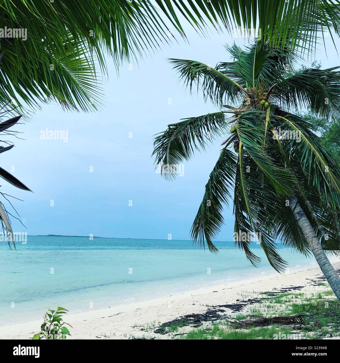 Elbow cay beach hi-res stock photography and images - Alamy