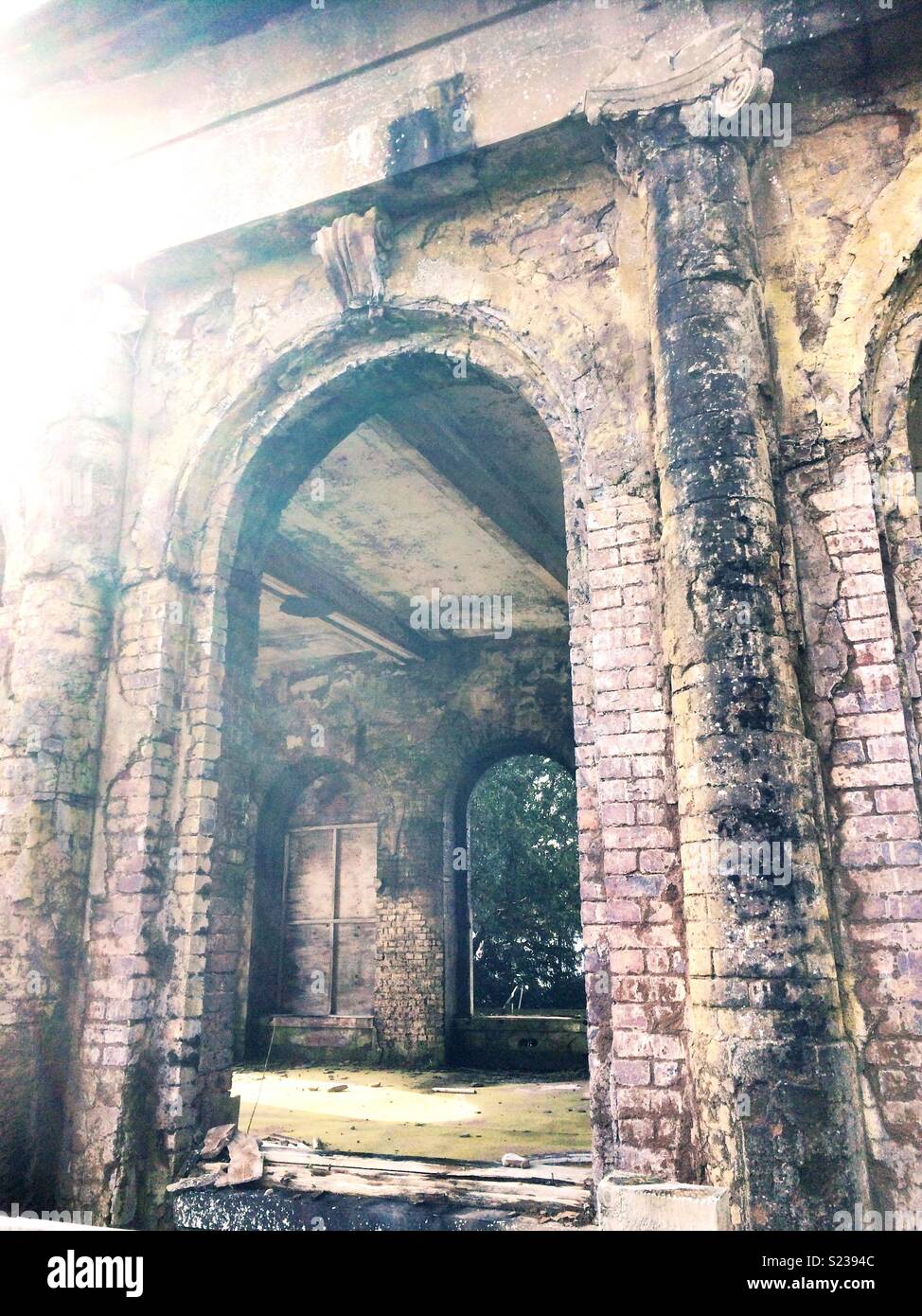 Derelict gardens hi-res stock photography and images - Alamy