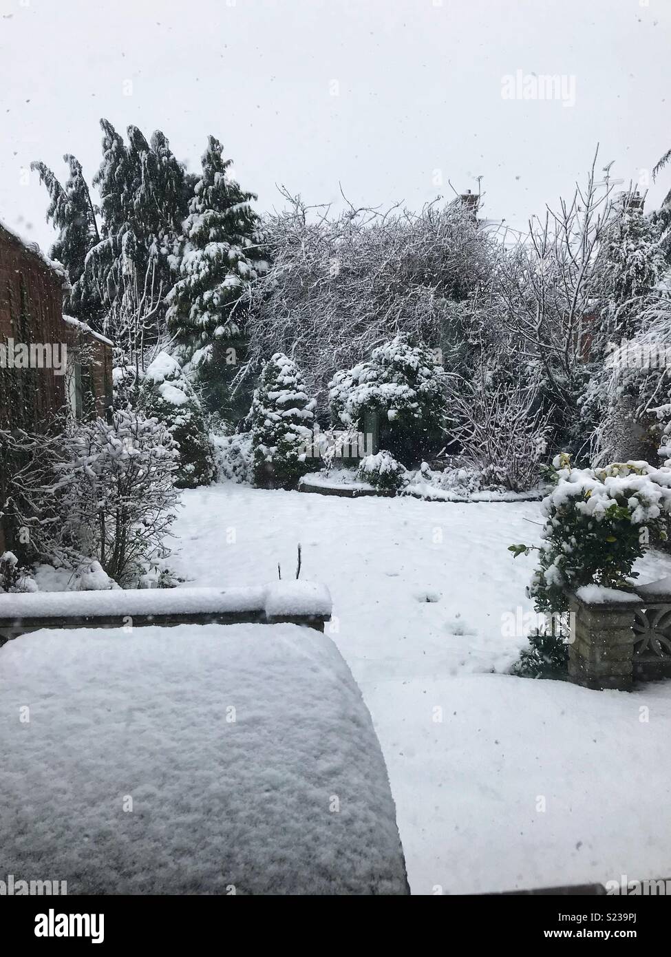 Snowy garden trees hi-res stock photography and images - Alamy