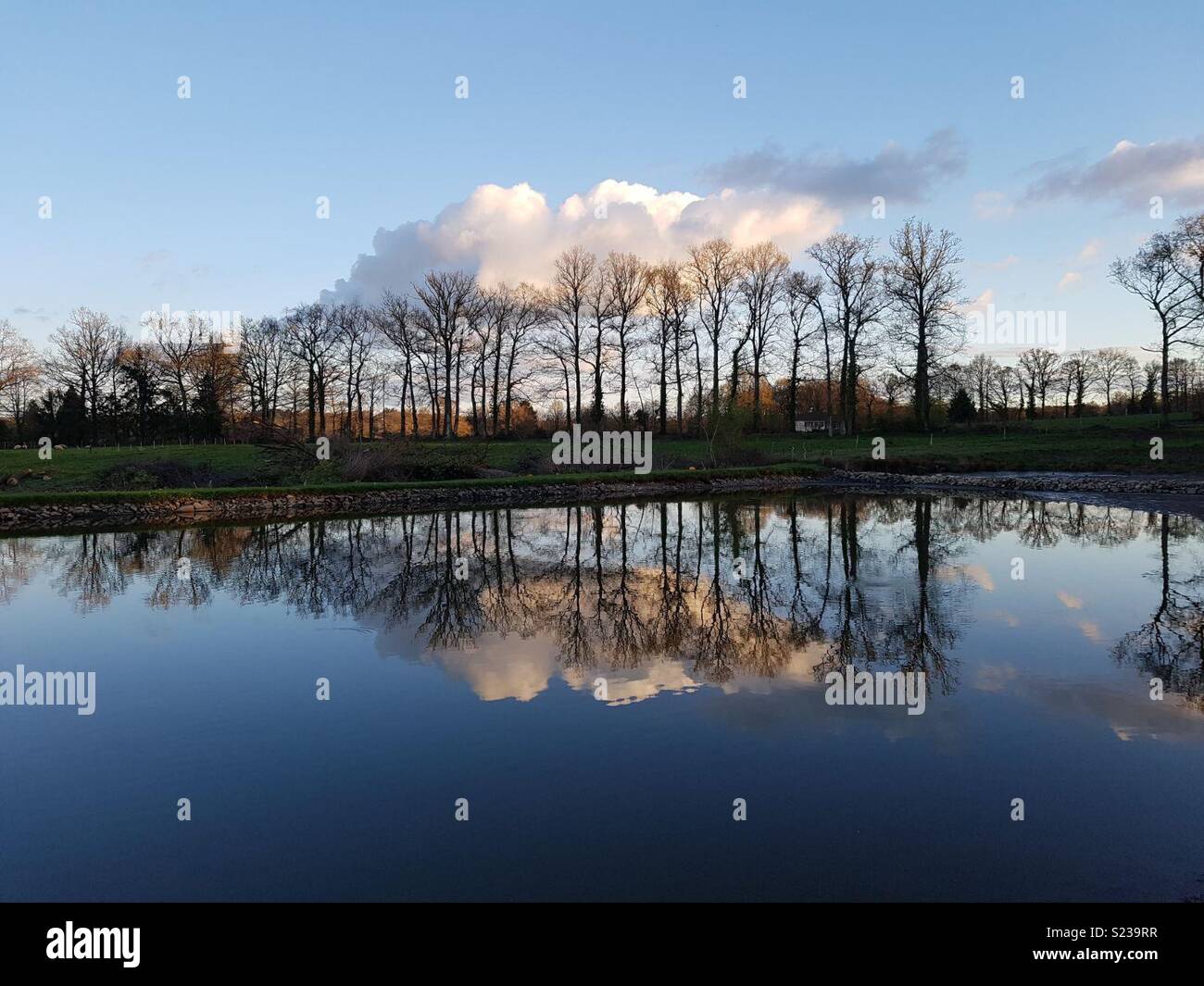 Lake reflecting sky Stock Photo - Alamy