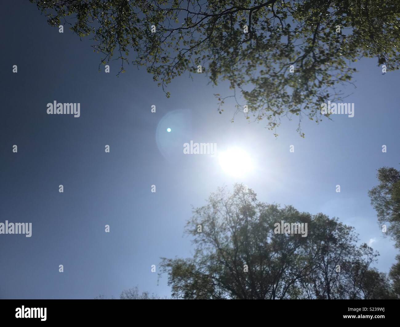 Sun is shining Stock Photo - Alamy