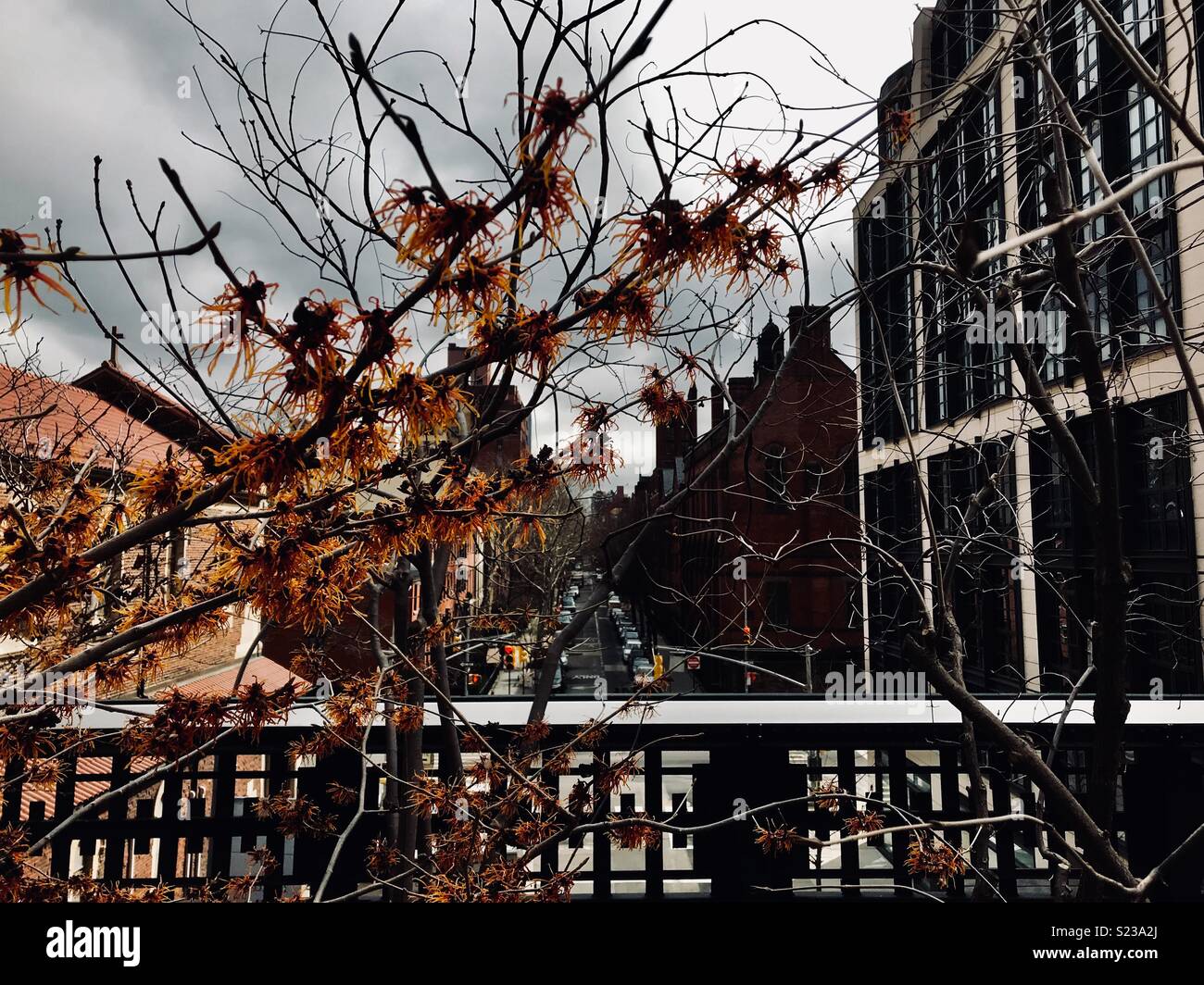 Looking down from the High Line Stock Photo - Alamy