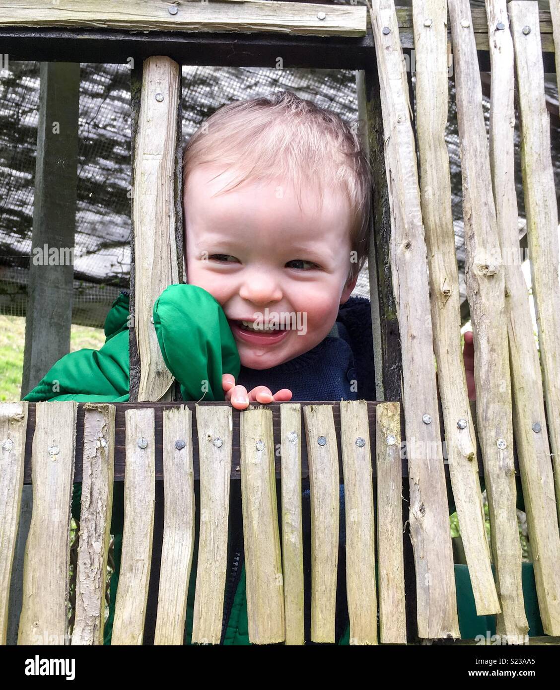 Peek a boo Stock Photo - Alamy