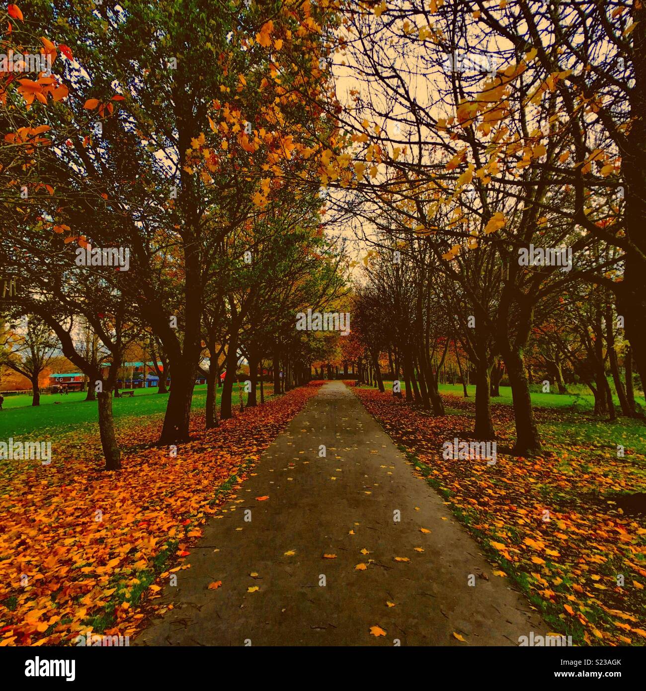 Autumnal walks hi-res stock photography and images - Alamy