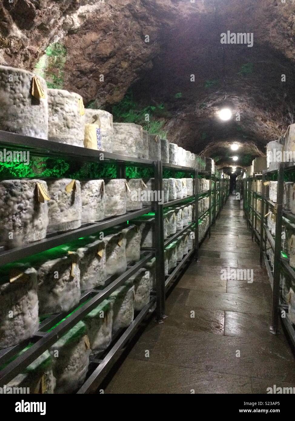 Cave aged cheddar hi-res stock photography and images - Alamy