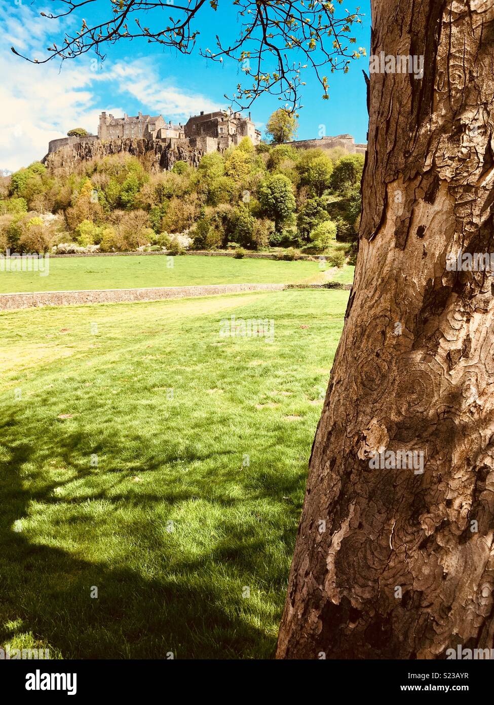 Stirling Castle on a sunny Scottish afternoon Stock Photo - Alamy