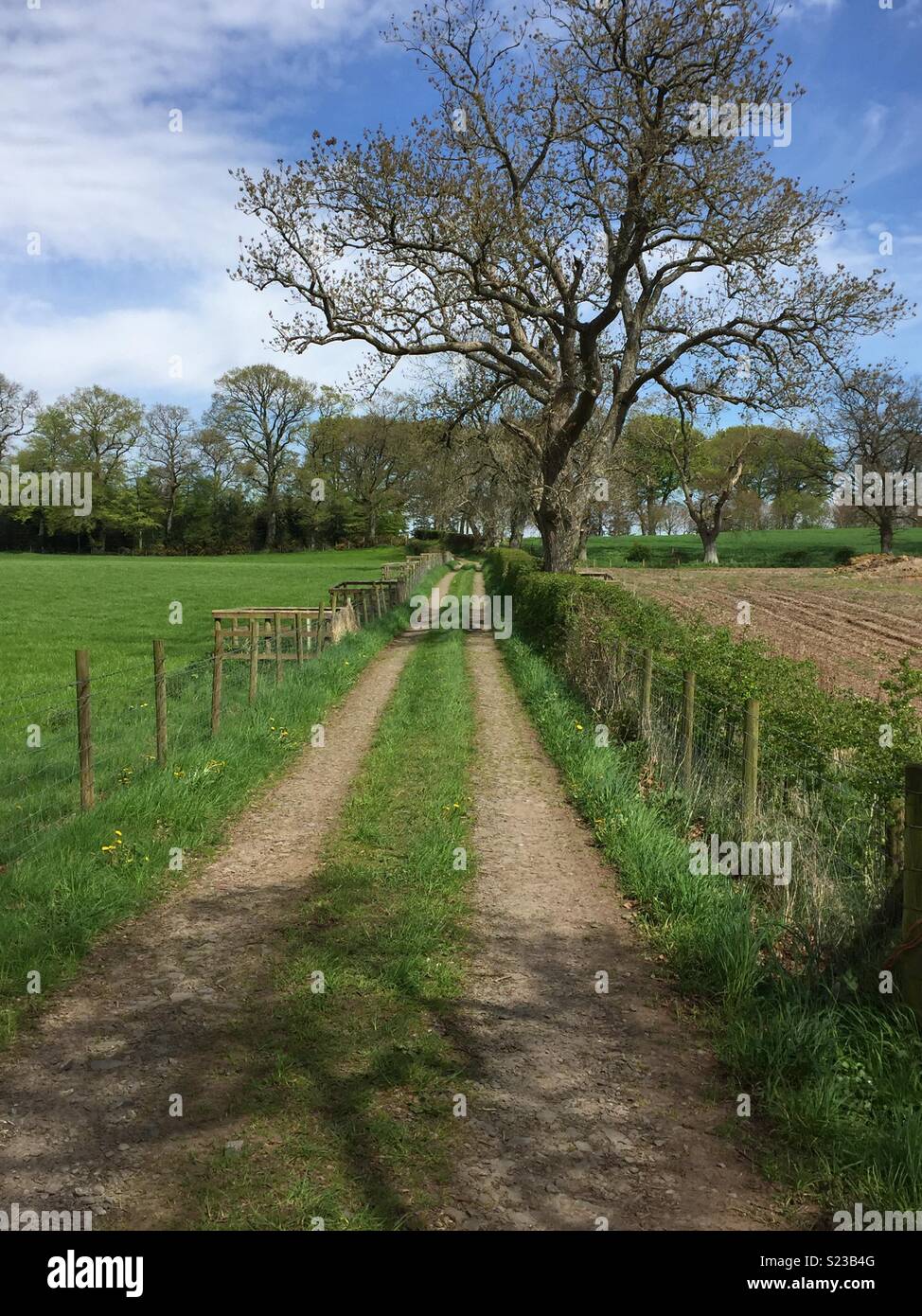 Private track hi-res stock photography and images - Alamy