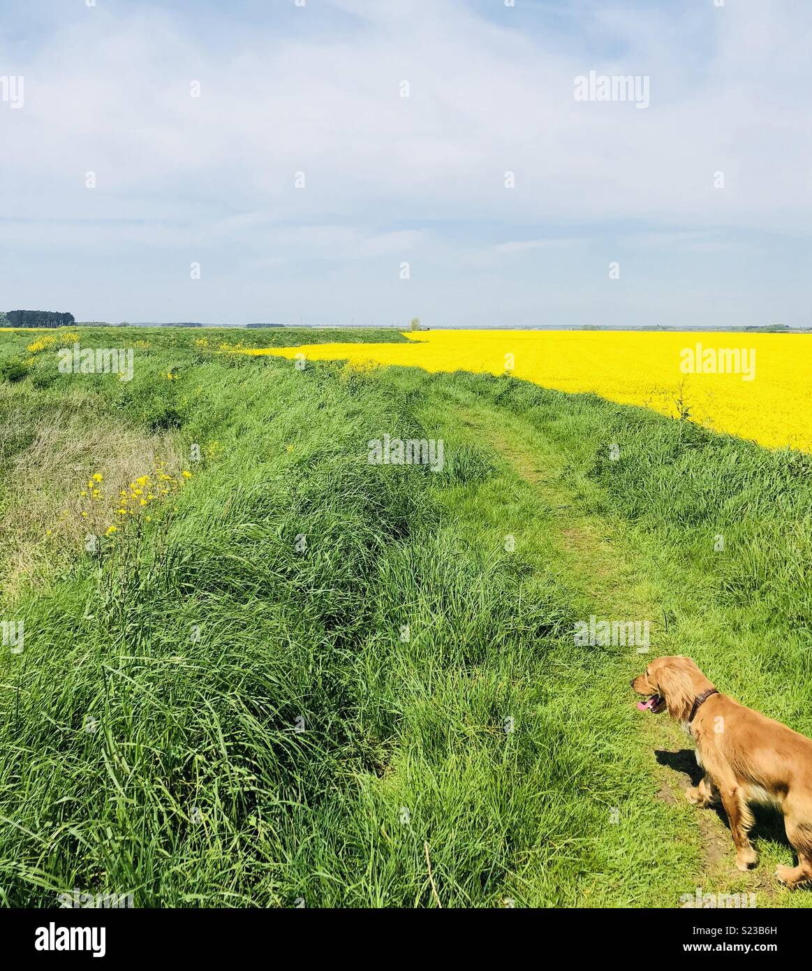 Lunt hi-res stock photography and images - Alamy