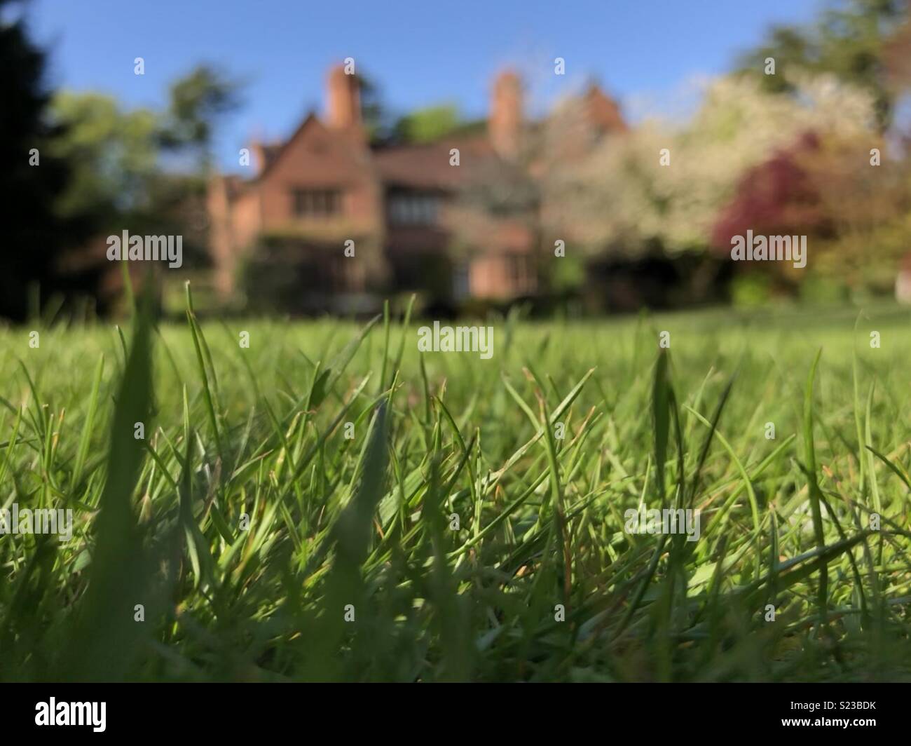 Grass with blurred building Stock Photo - Alamy