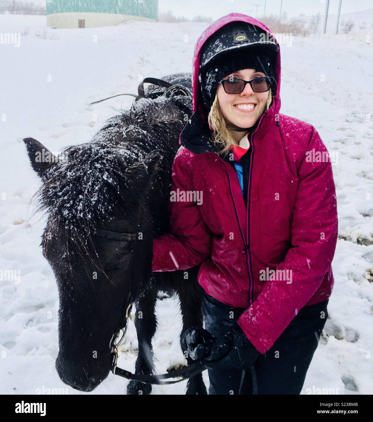 Iceland horse riding iceland hi-res stock photography and images - Alamy