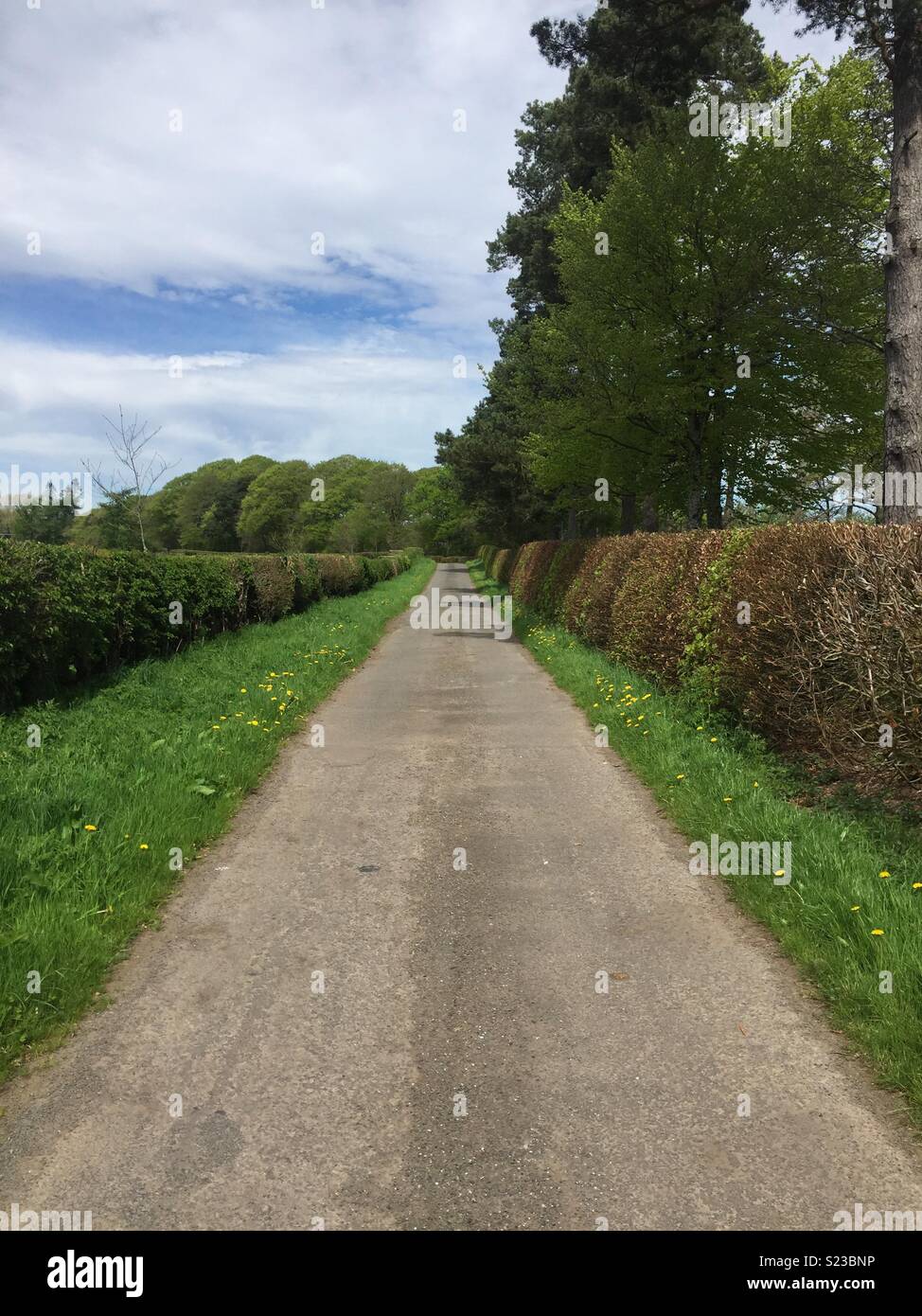 Narrow single lane road Stock Photo - Alamy