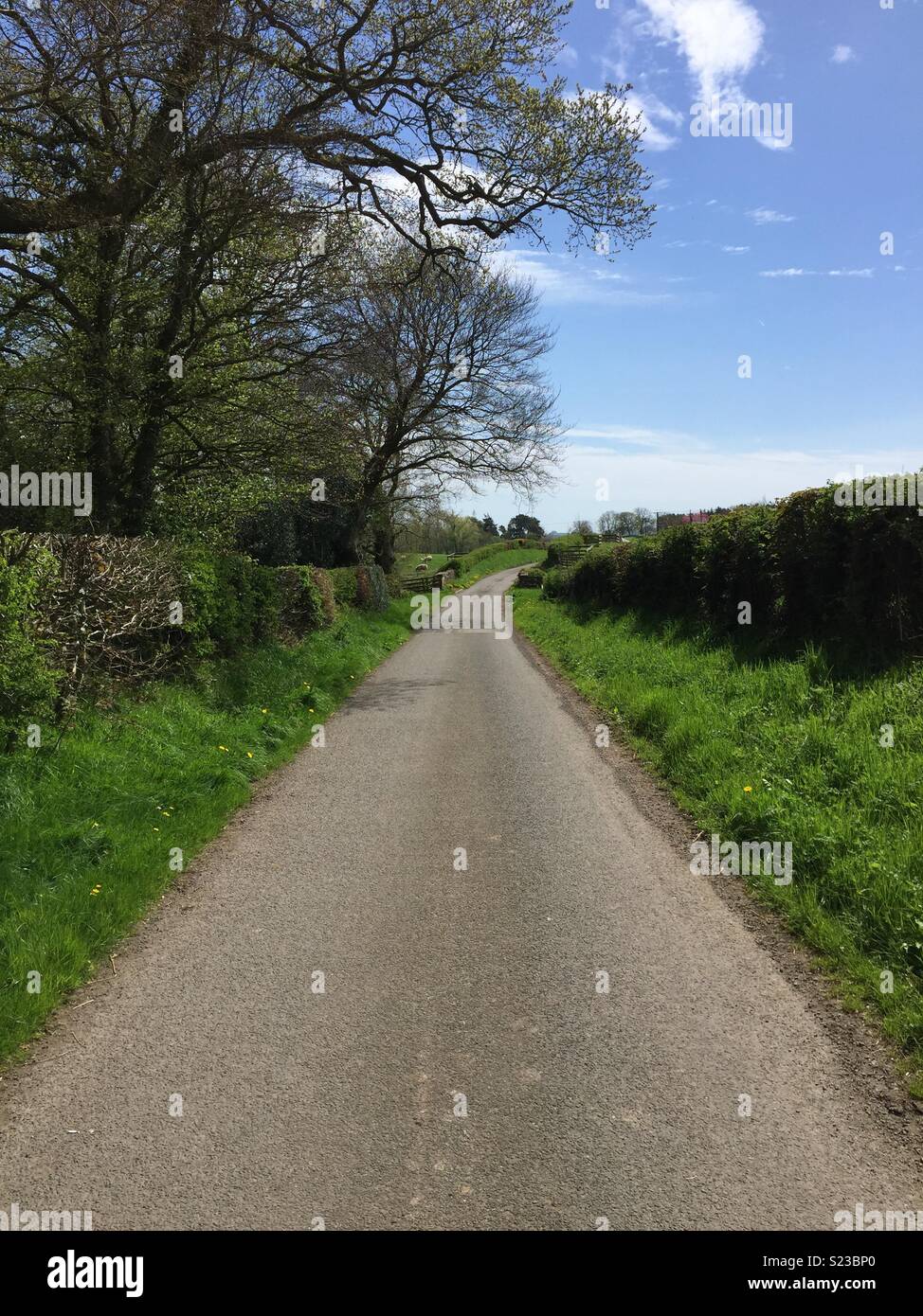 Single lane road hi-res stock photography and images - Alamy