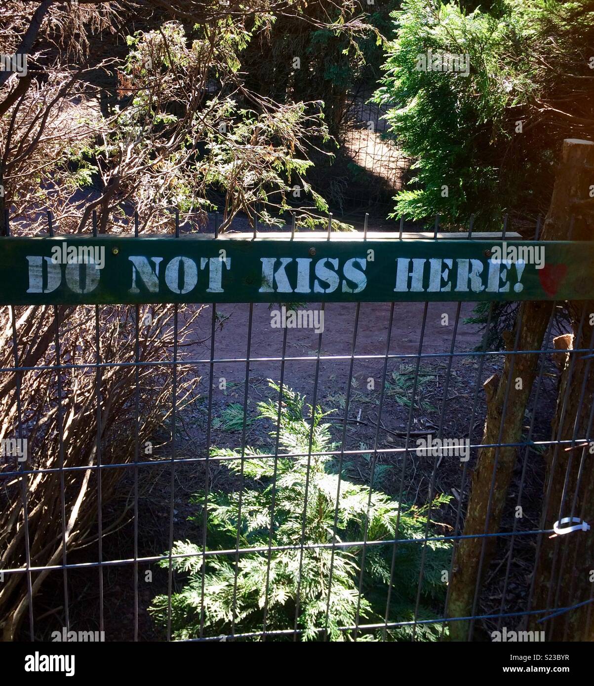 Funny kiss hi-res stock photography and images - Alamy