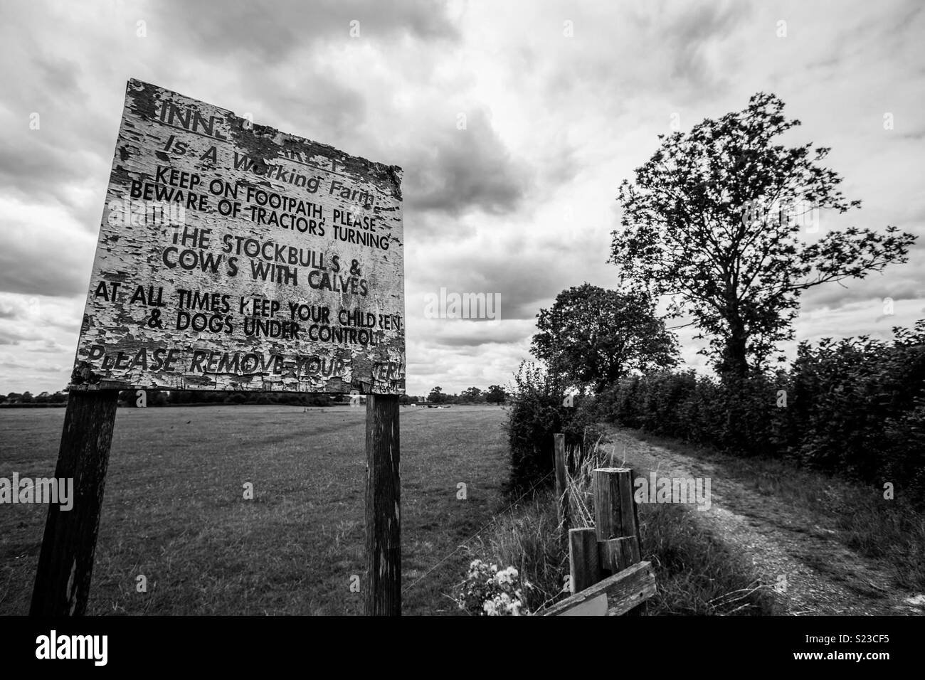 Nw london hi-res stock photography and images - Alamy