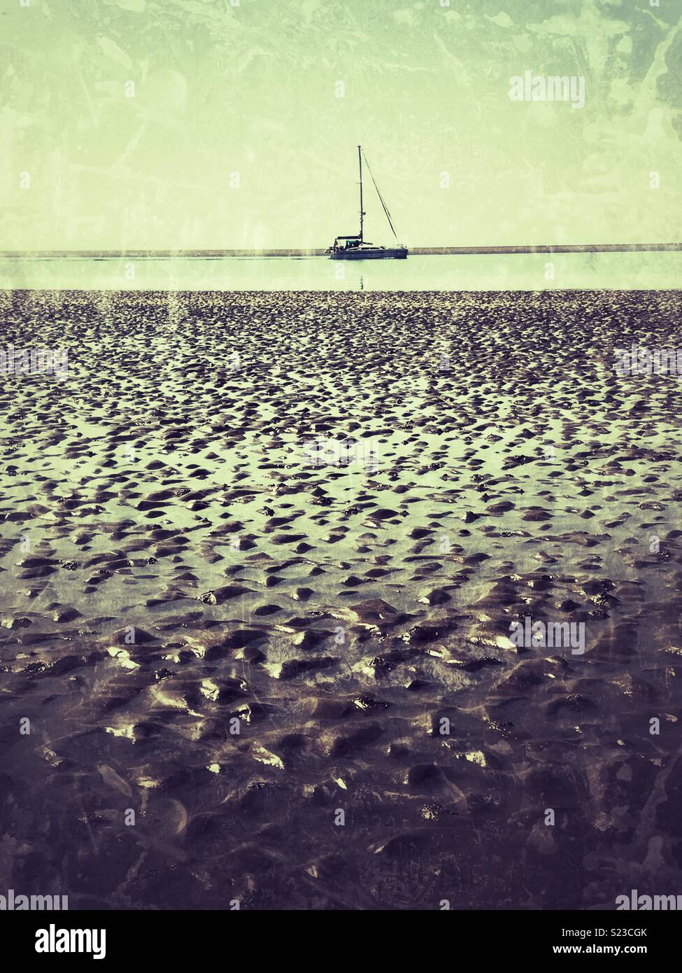 Thames mud hi-res stock photography and images - Alamy